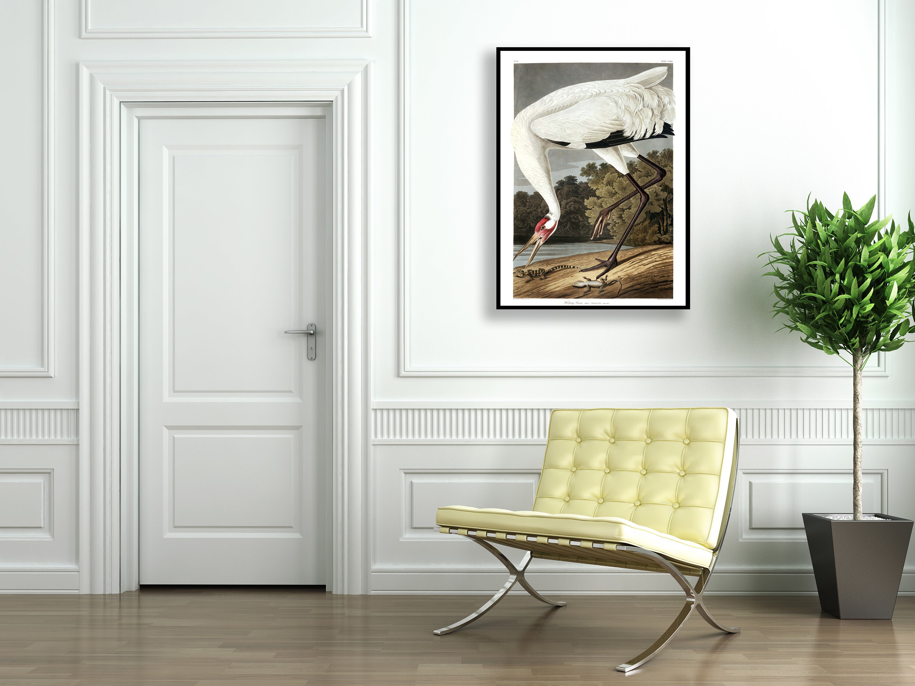 Whooping Crane Whooping Cranes Hooping Crane Audubon Crane - Etsy