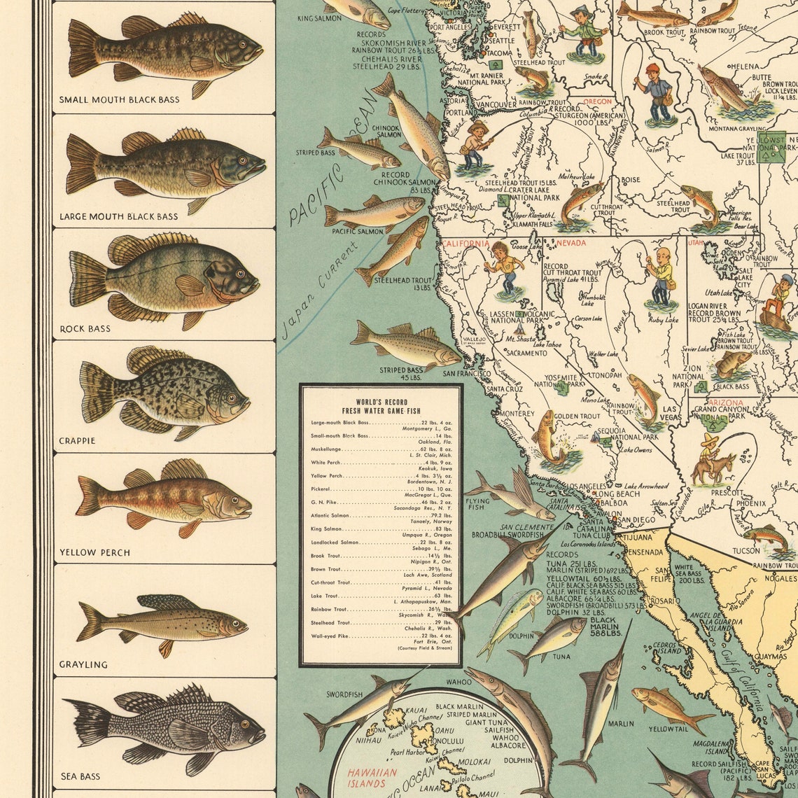 BIG Game FISH Map 1936 Fish Map of the United States Salt - Etsy