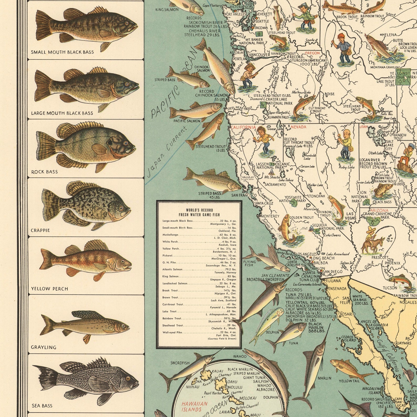 BIG Game FISH Map 1936 Fish Map of the United States, Salt and Fresh ...