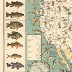 BIG Game FISH Map - 1936 Fish Map of the United States, Salt and Fresh ...