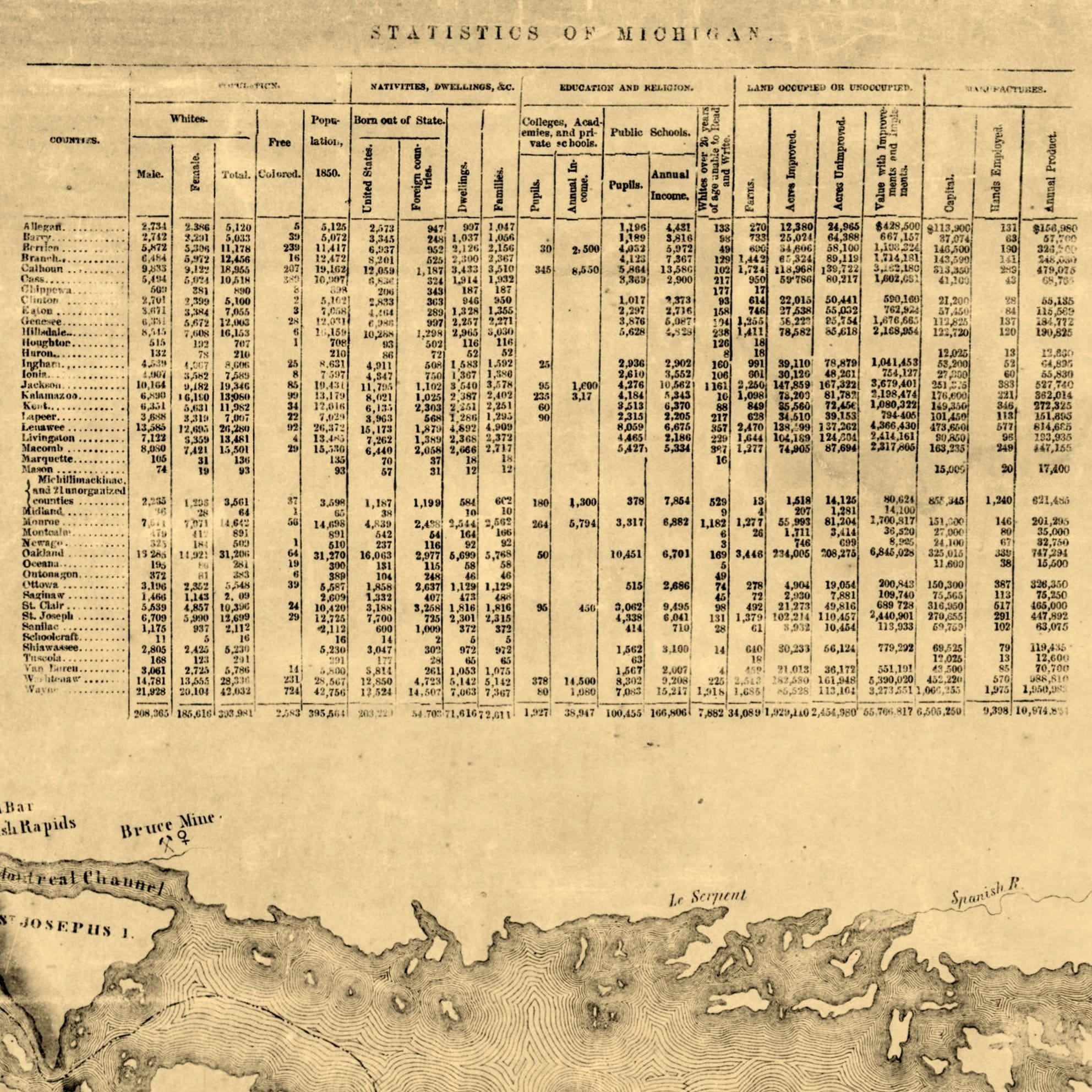 Vintage Michigan map 1856 old map of Michigan Old Antique | Etsy