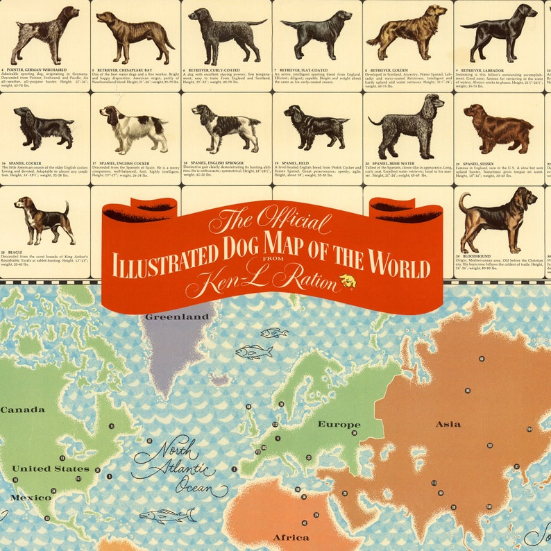 The Official Illustrated DOG MAP of the World Dog Breeds - Etsy