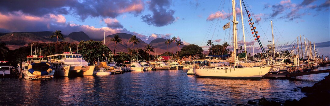 Lahaina Harbor Sunset by Dan Merkel Photography Print Poster Canvas or ...