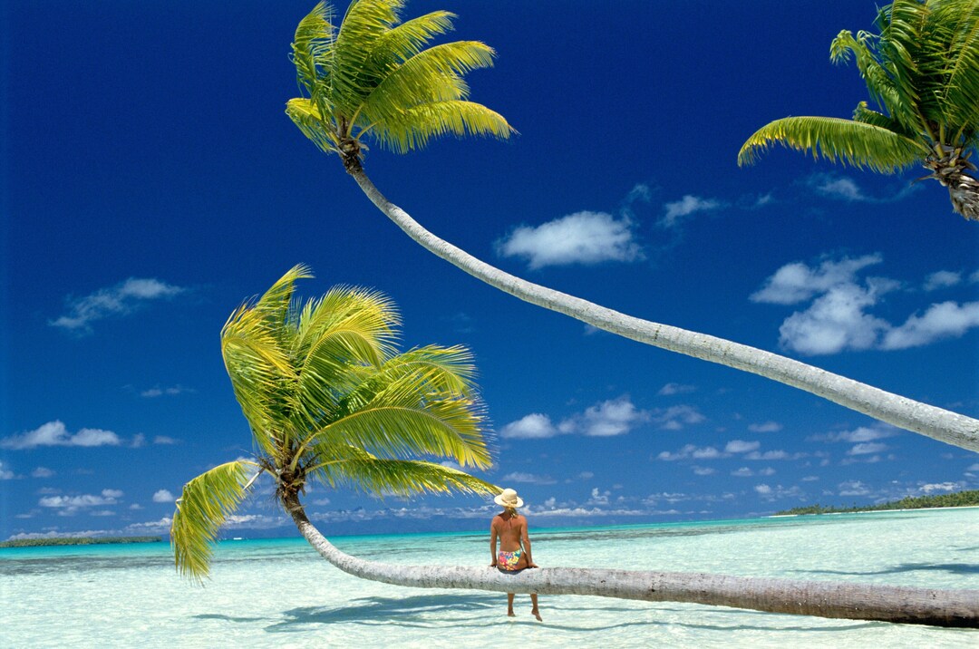 Fiji Palm Trees Ocean Print by Dan Merkel Photography Surfing Decor ...