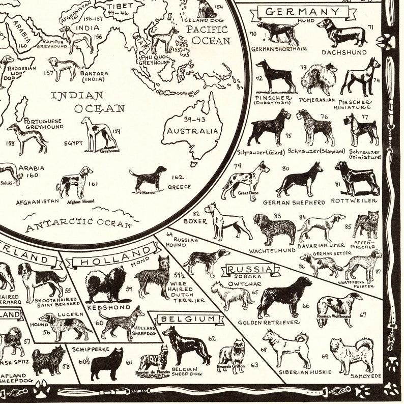 Dog Breeds of All Nations, 1935 Dog Breeds Print, Dog Breeds Art,dog ...