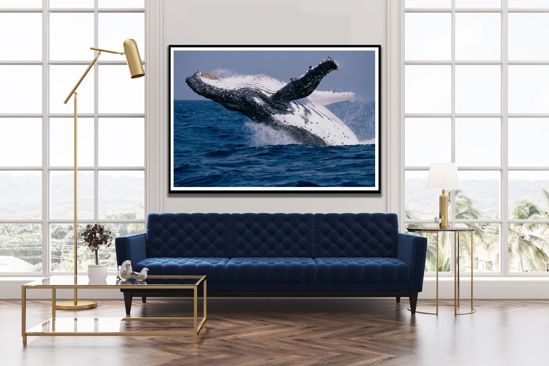 HUMPBACK WHALE Poster by Dan Merkel, Marine Life Art Ocean Prints, Kids ...