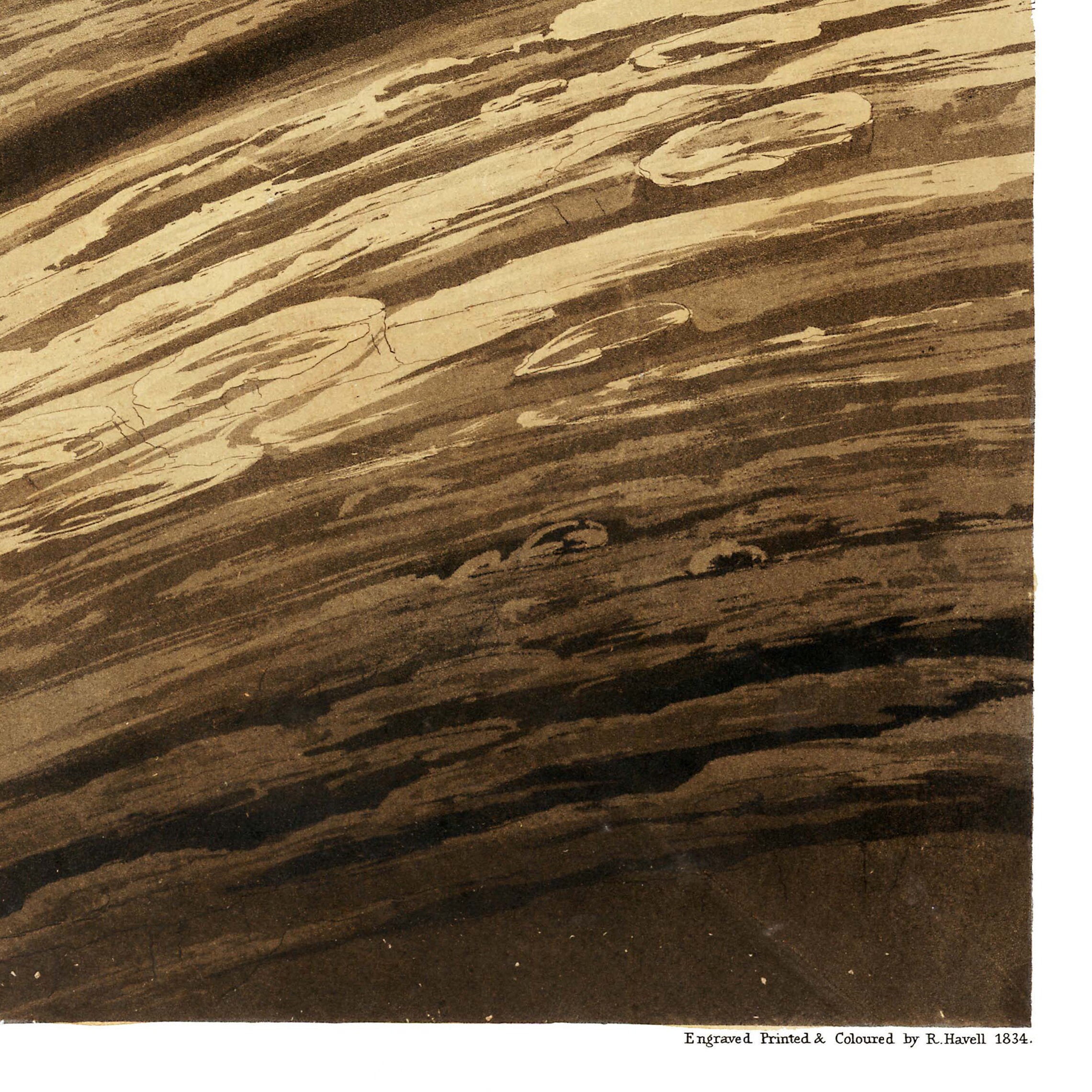 Whooping Crane Whooping Cranes Hooping Crane Audubon Crane - Etsy