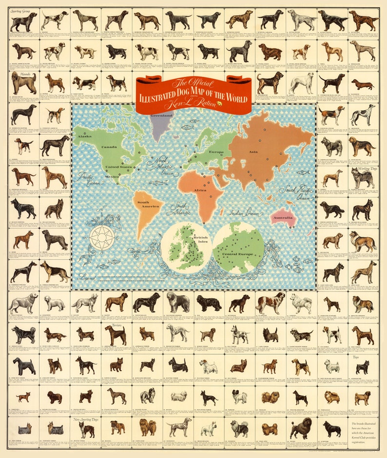 The Official Illustrated DOG MAP of the World Dog Breeds - Etsy