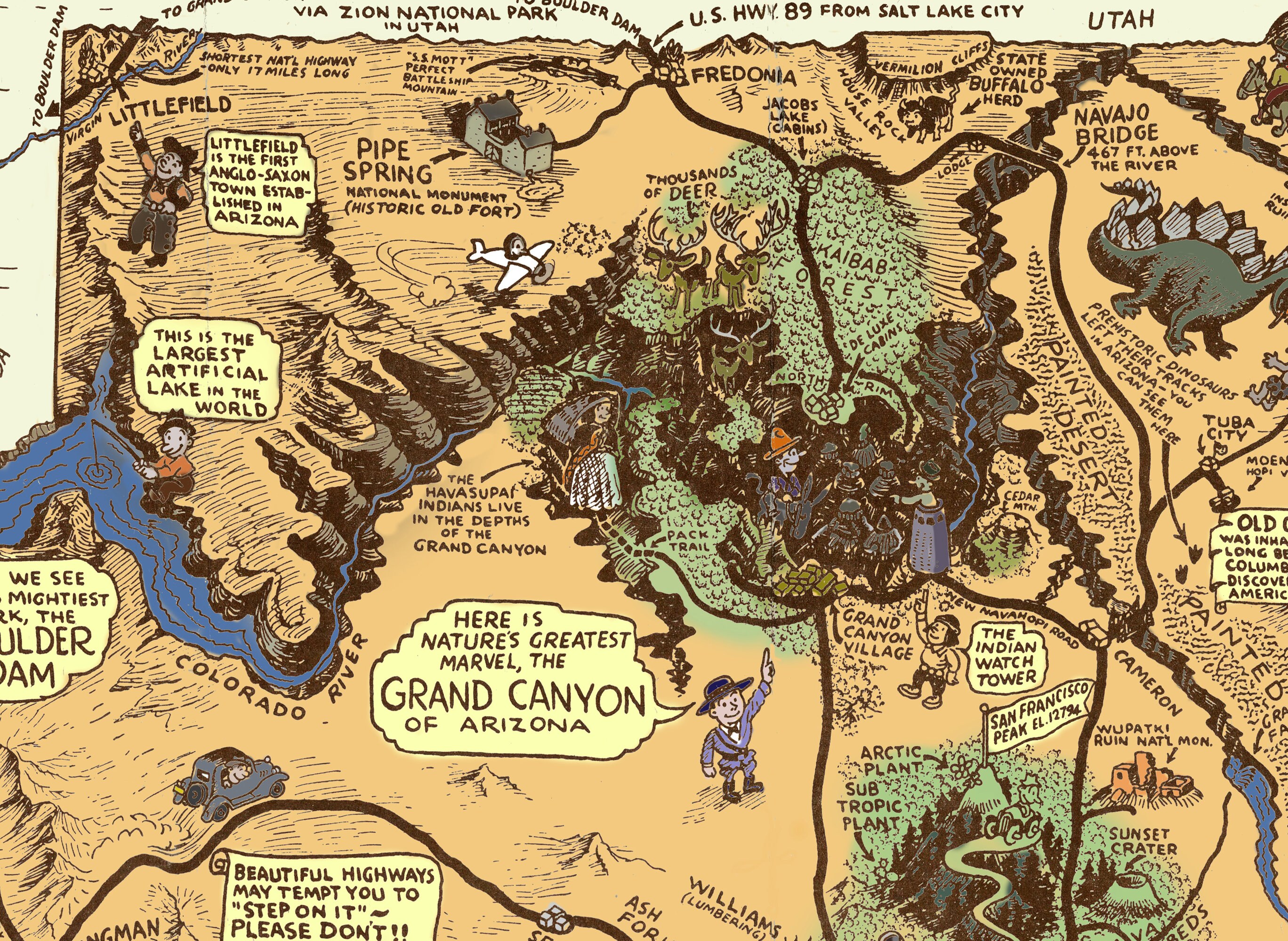 Cartoon Map of ARIZONA Reg Manning 1930's Map Animated Gallery Wall ...