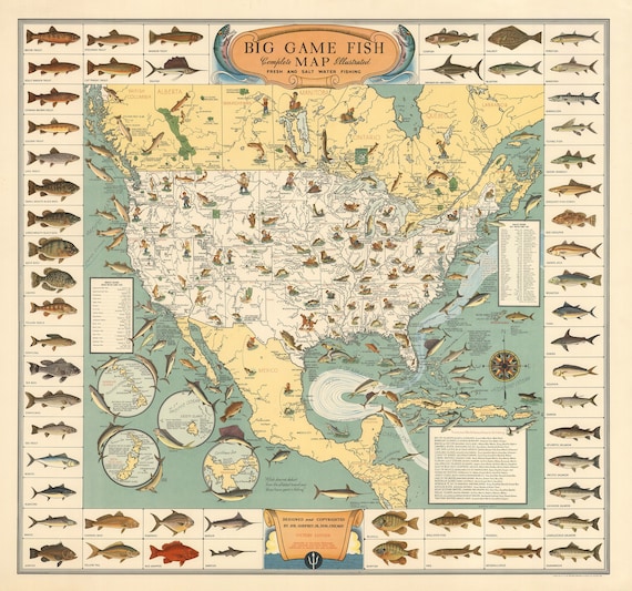 BIG Game FISH Map 1936 Fish Map of the United States Salt - Etsy