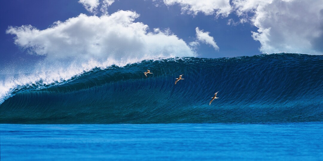 Dan Merkel 3 Birds Surf Photo Print Canvas Print Paper Print Surf ...
