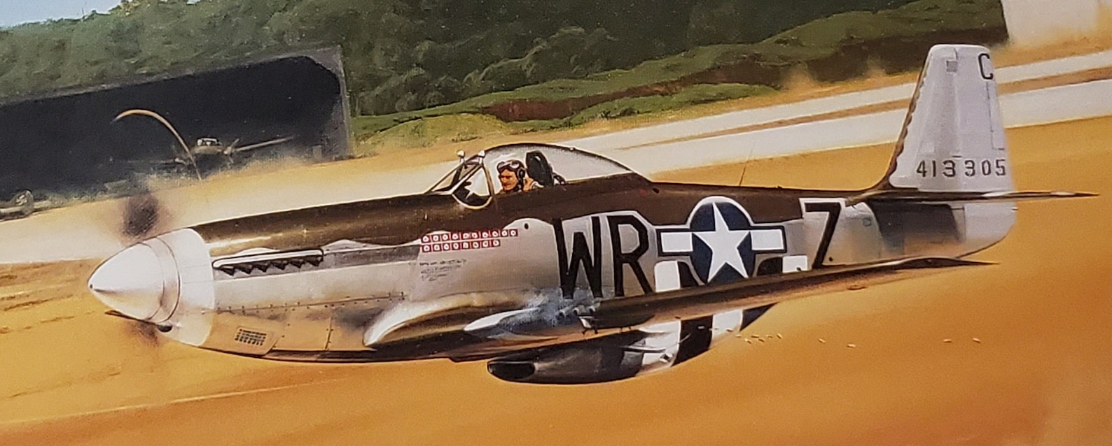 P-51 Mustang – the HUN HUNTER of TEXAS - Bookplate Print by Craig ...