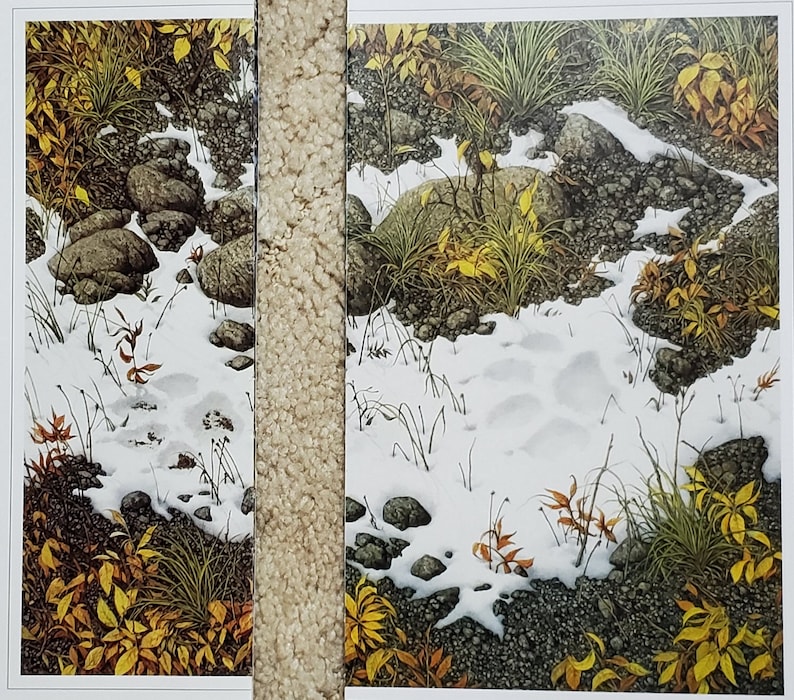 WOLF TRACK” Art Print Bookplate Painted by Bev Doolittle – Wall Art ...