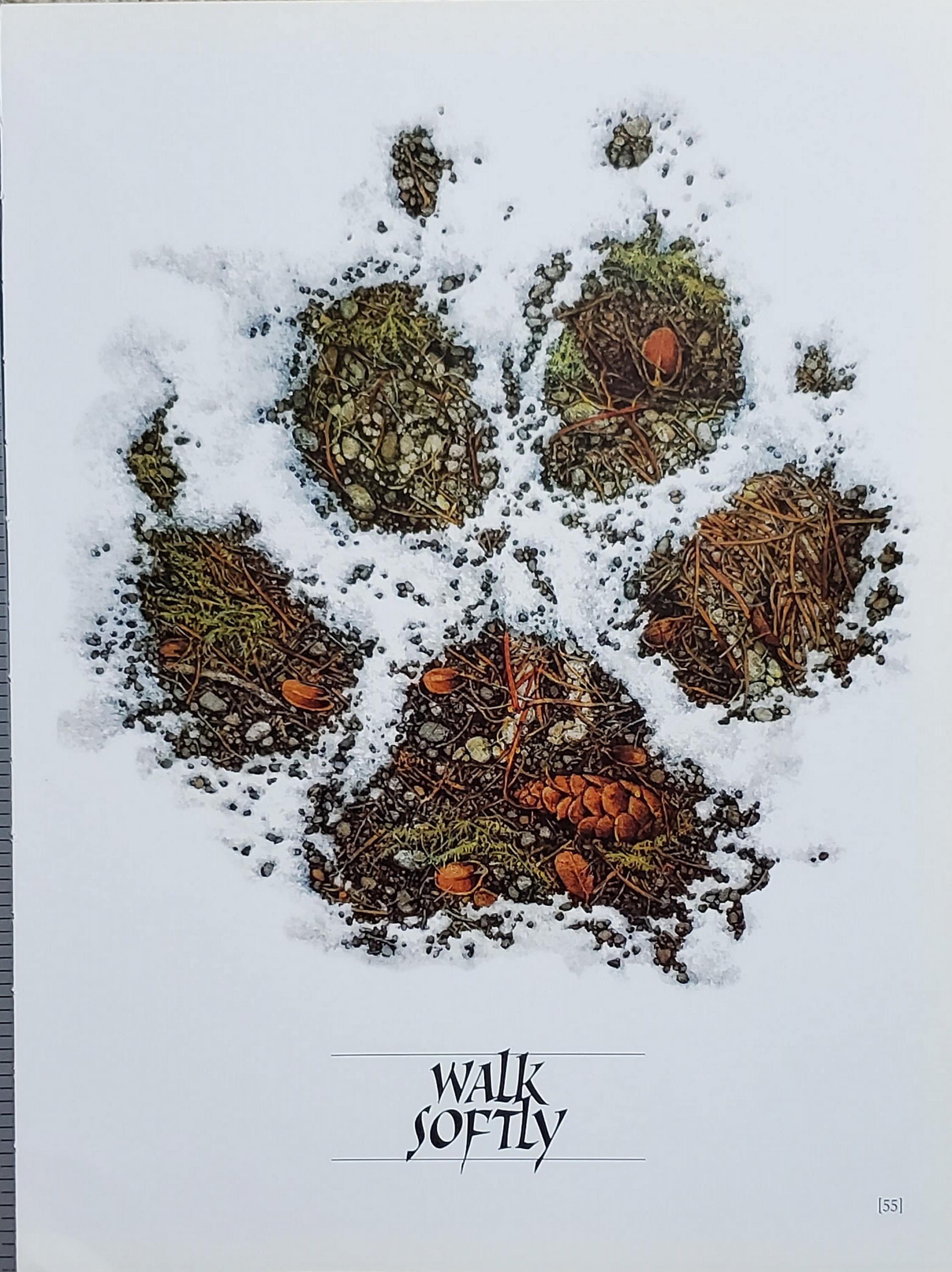 Bev Doolittle “WALK SOFTLY” * Bookplate Print Wall Art BD61 - Etsy