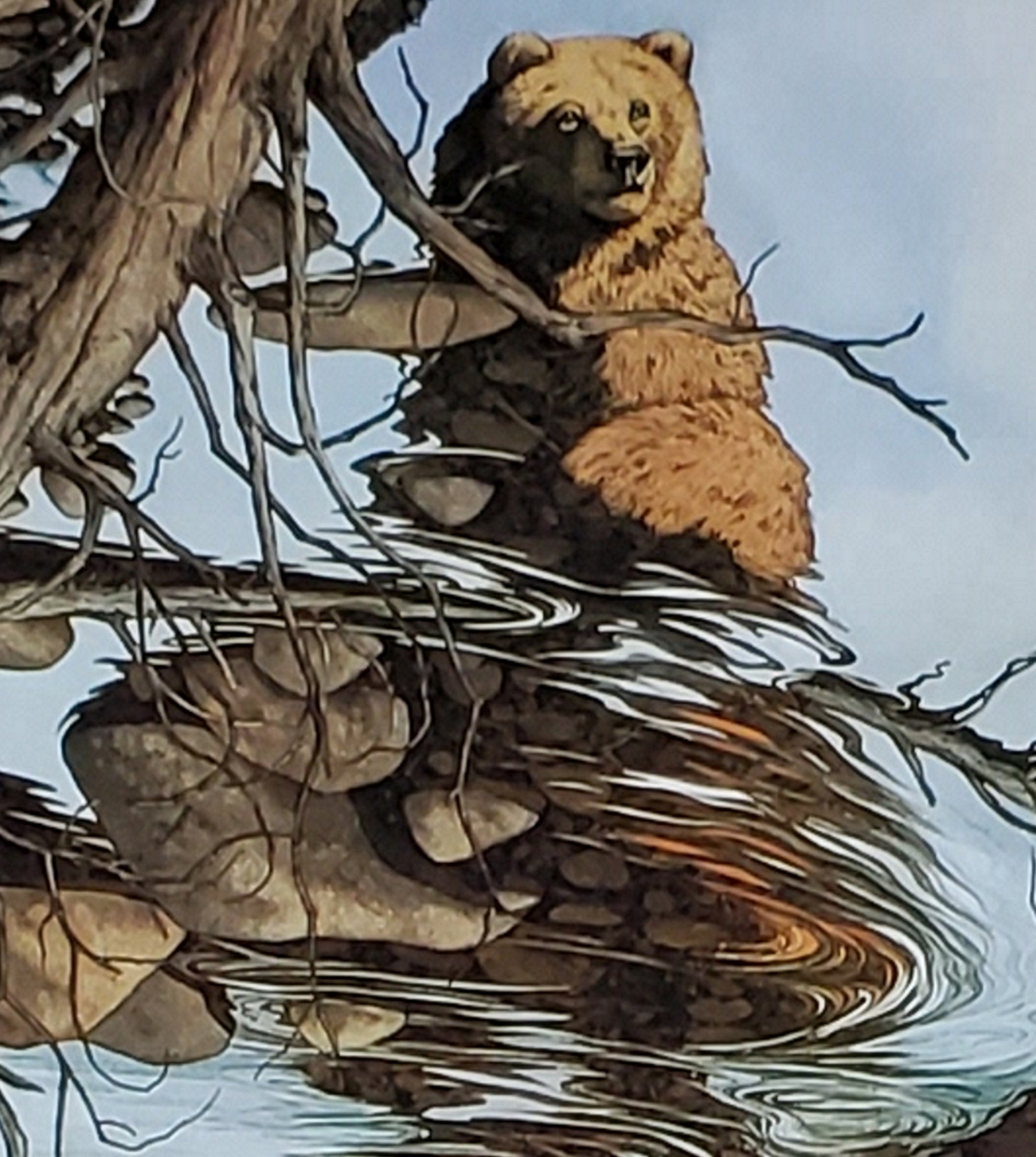 Bev Doolittle “SPIRIT of THE GRIZZLY” Bookplate Print Wall Art BD41 - Etsy