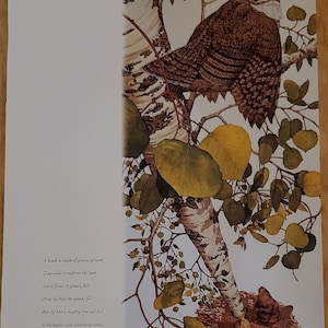 Bev Doolittle “BEAVER” Bookplate Prints Wall Art BD72 - Etsy