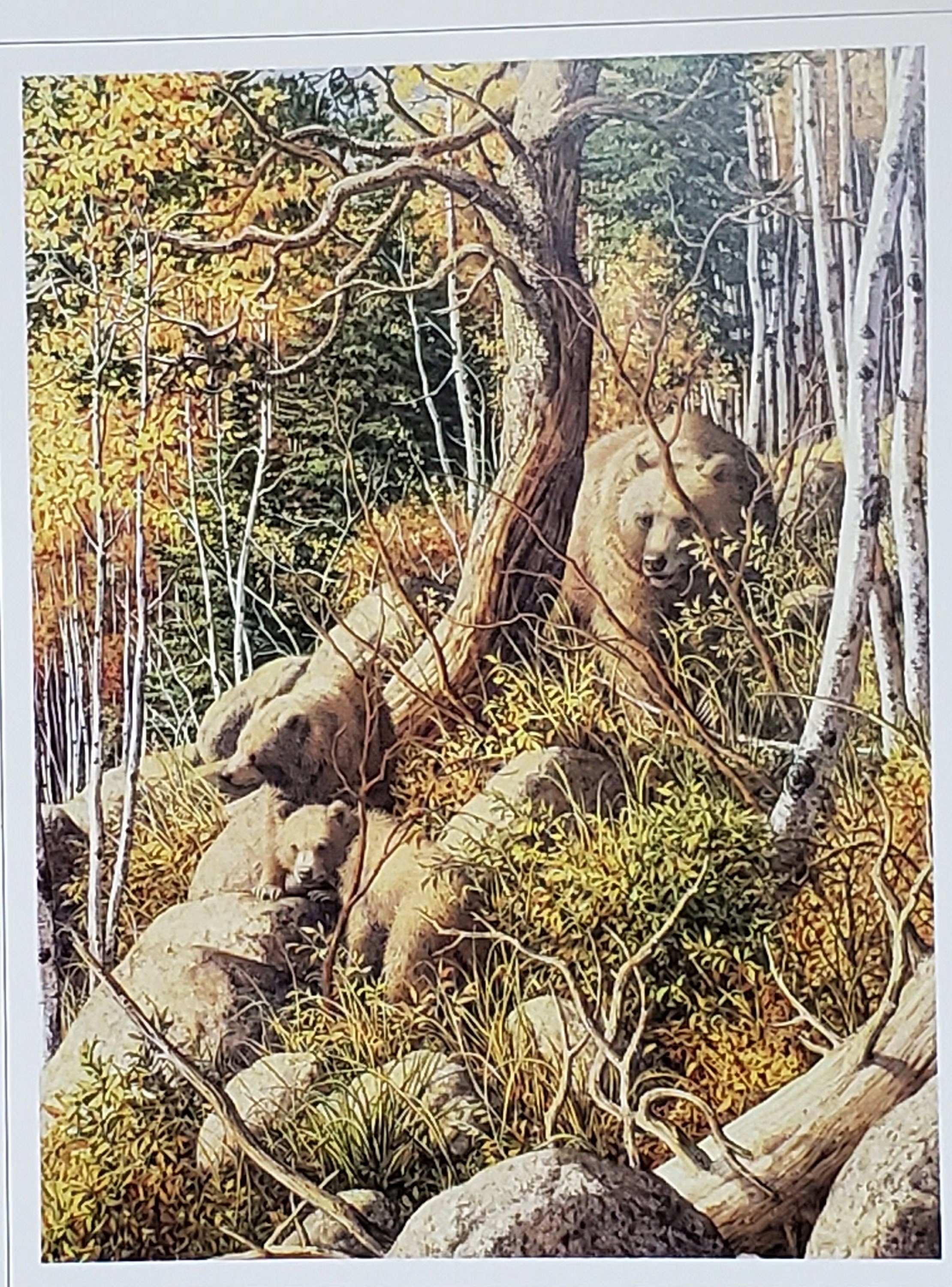 Bev Doolittle DETAIL “WILDERNESS! WILDERNESS?” Bookplate Print Wall Art ...