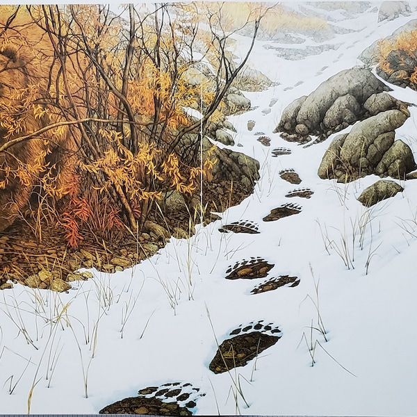 Bev Doolittle Double Back - Etsy