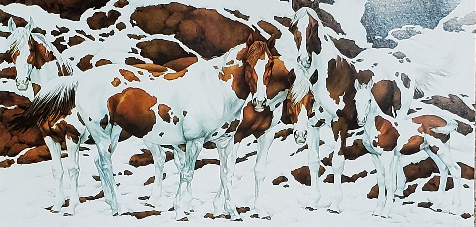 Bev Doolittle “PINTOS” Bookplate Art Print Wall Art BD1 * - Etsy