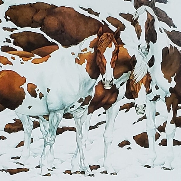 Bev Doolittle Prints Pintos - Etsy