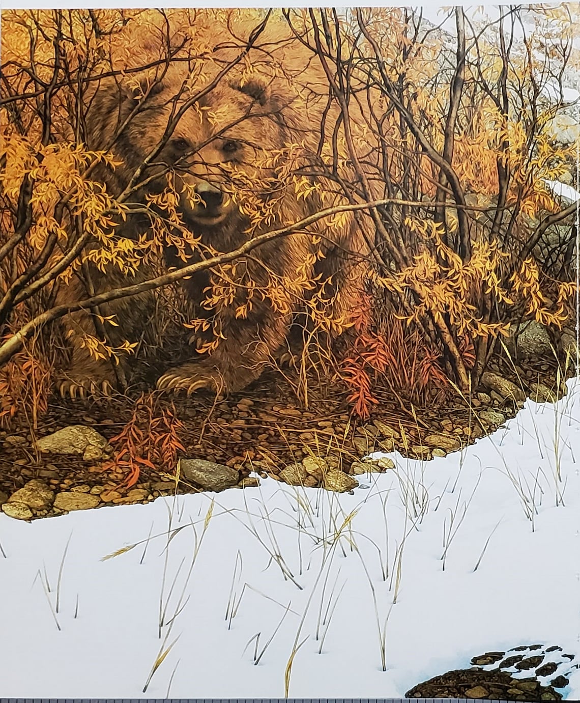 DOUBLE BACK * Art Print Bookplate Painted by Bev Doolittle – Wall Art ...