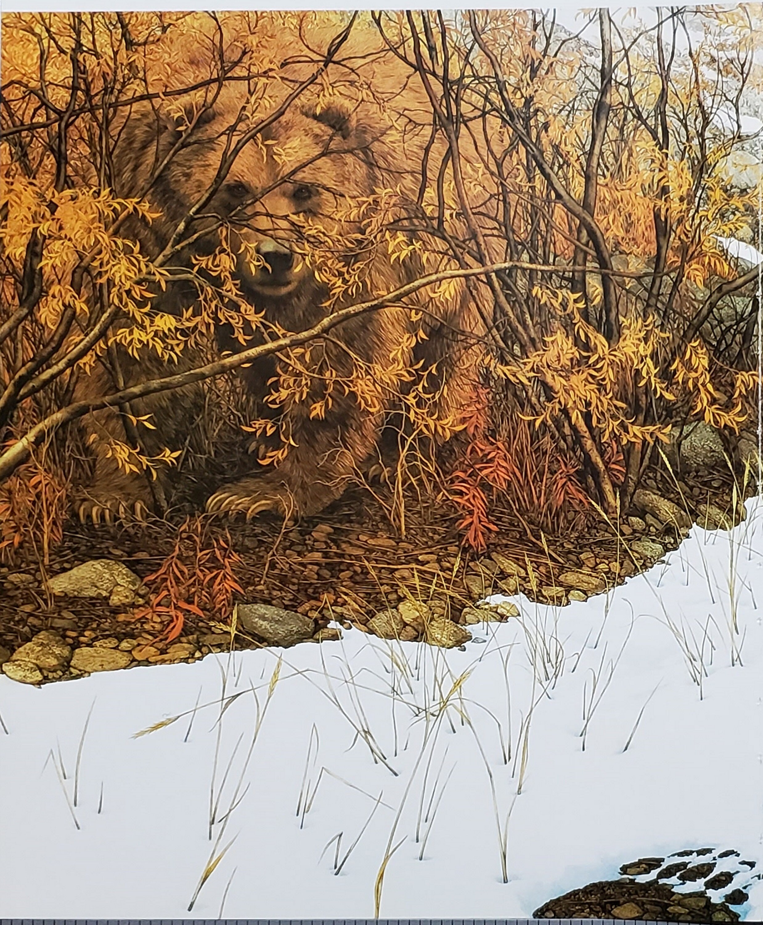 DOUBLE BACK * Art Print Bookplate Painted by Bev Doolittle – Wall Art ...