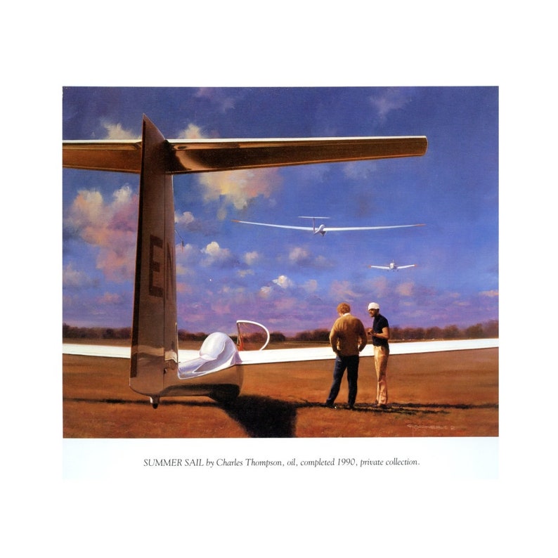 Janus C Segelflugzeug SOMMER SAIL Exlibris Kunstdruck gemalt - Etsy.de