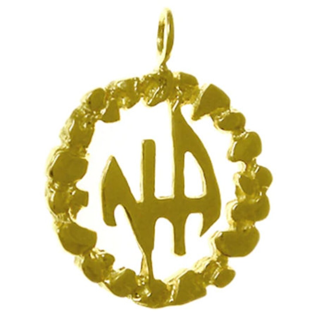 14K Gold Narcotics Anonymous Pendant: NA Recovery Jewelry - Etsy