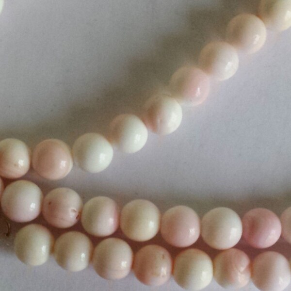Pink Conch Shell Necklace - Etsy