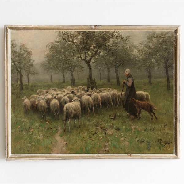 Sheep Picture - Etsy