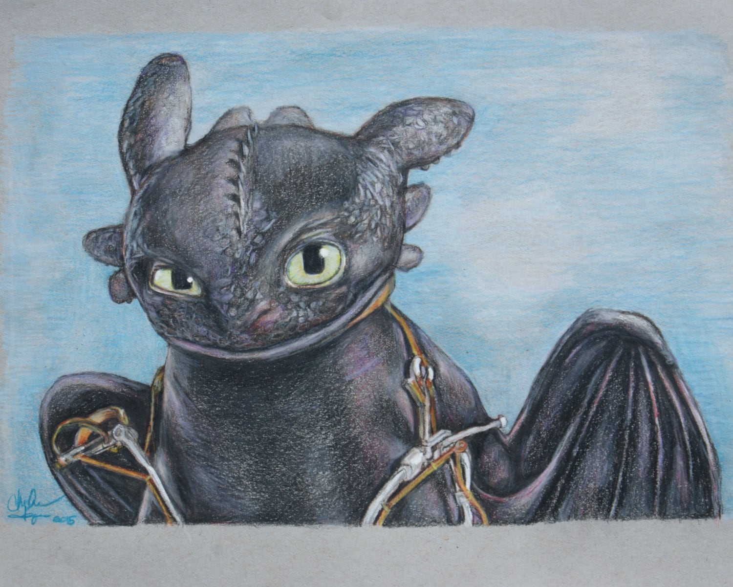 How To Train Your Dragon Book Toothless