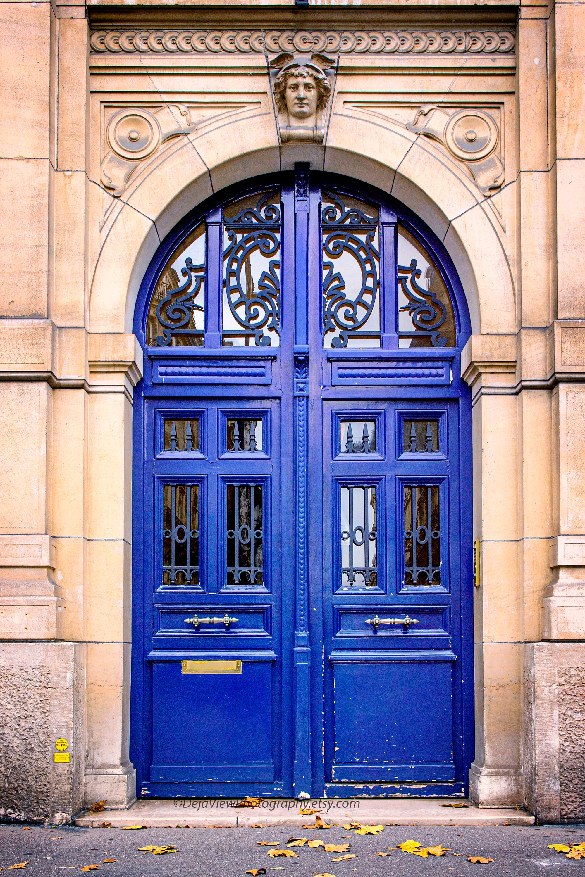 Blue Door Paris Paris Ornate Doors Paris Photo Art Prints - Etsy