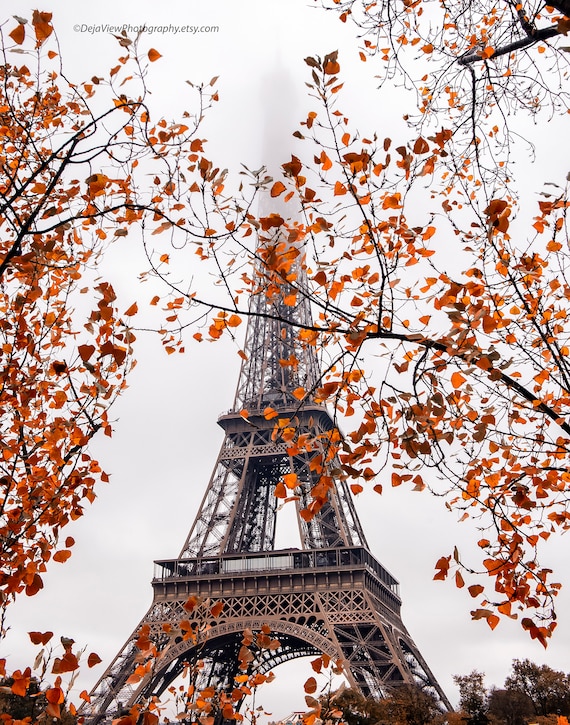 Paris Autumn Leaves Fall Foliage Photography Paris Art - Etsy