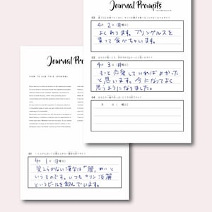Intermediate Japanese Journal Writing Pack 2 - Etsy