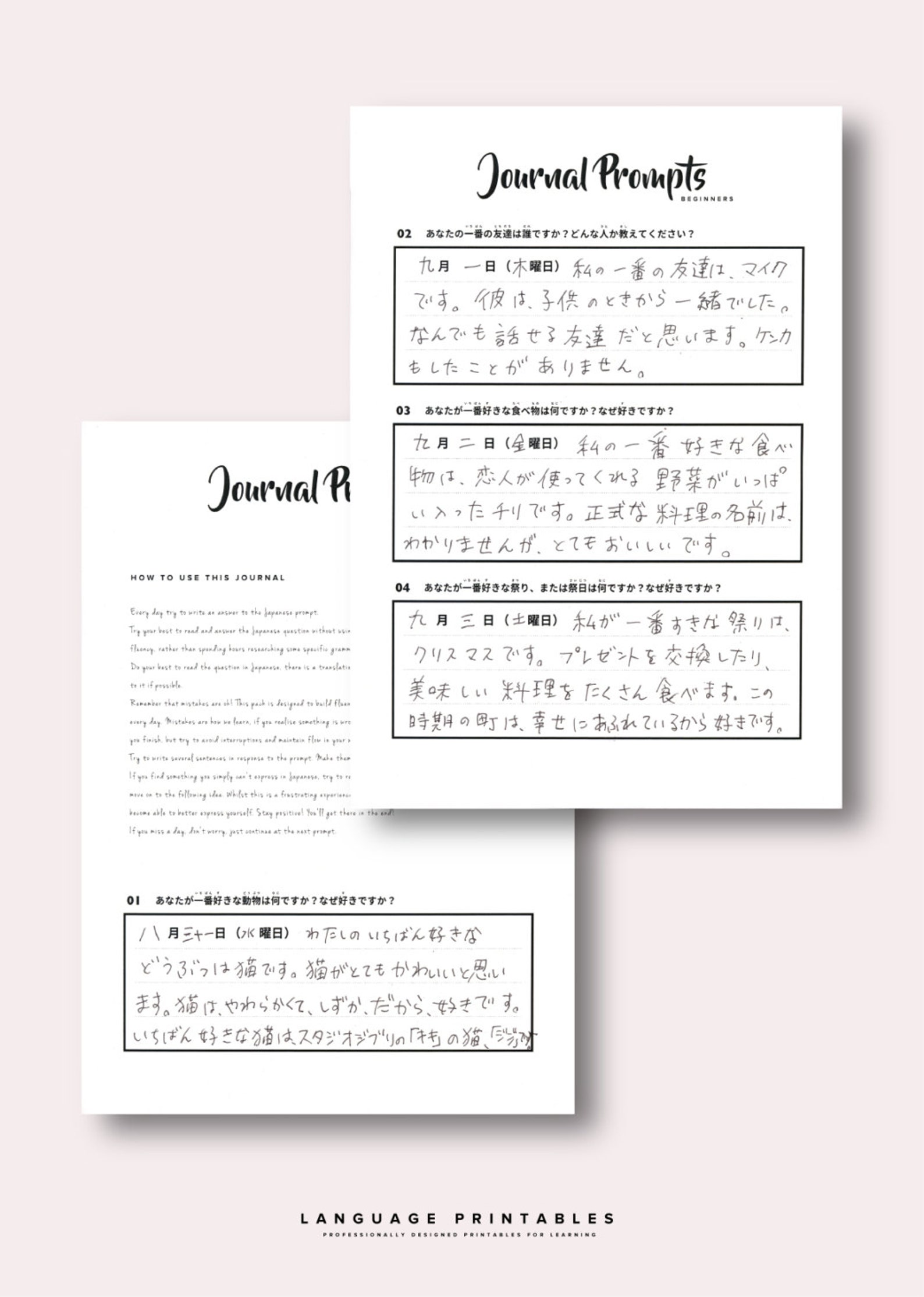 Beginners Japanese Journal Writing Pack - Etsy
