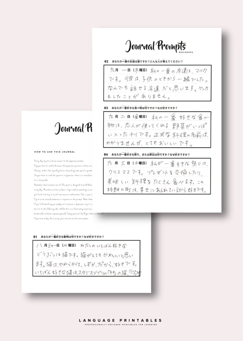 Beginners Japanese Journal Writing Pack - Etsy
