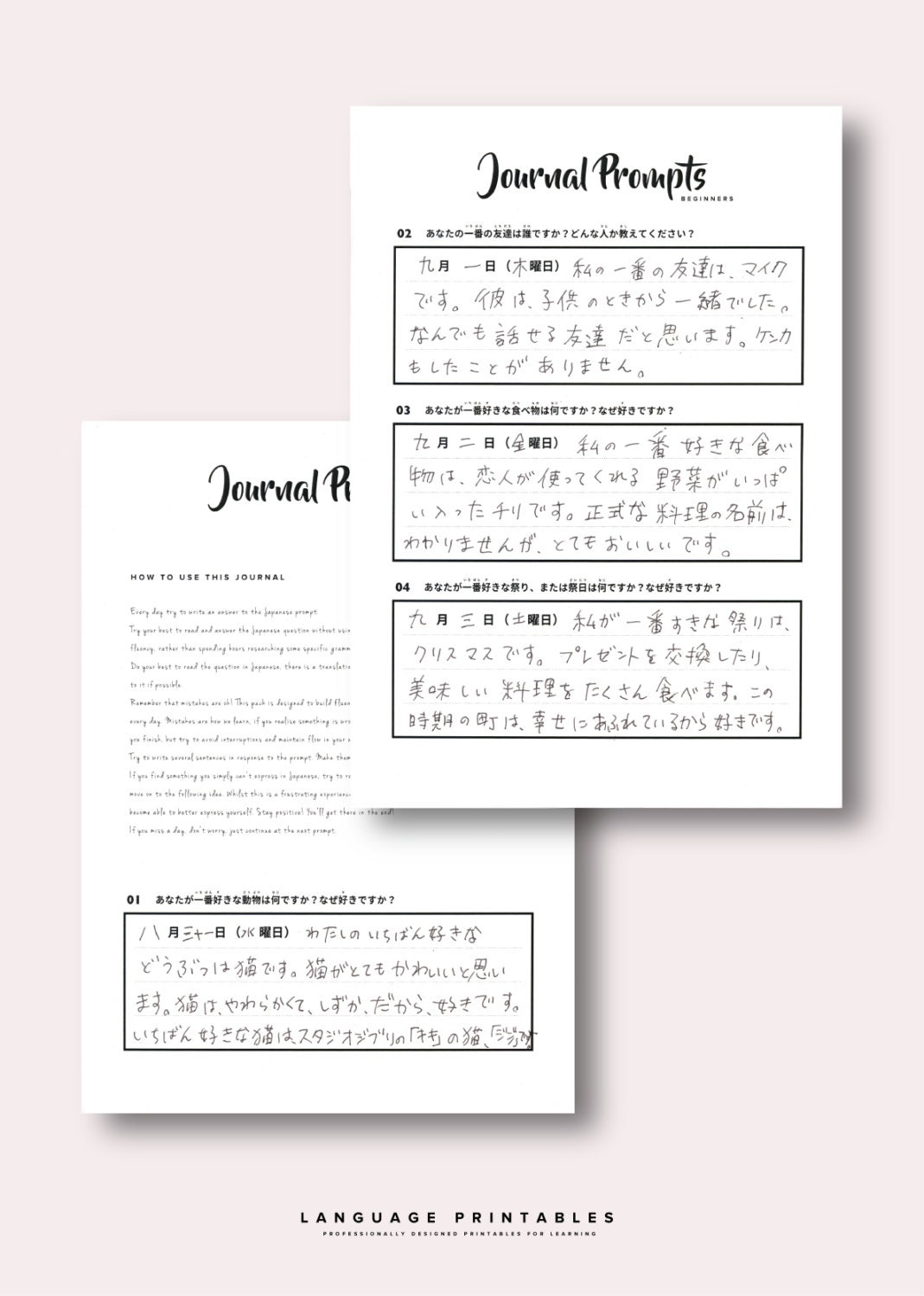 Beginners Japanese Journal Writing Pack - Etsy