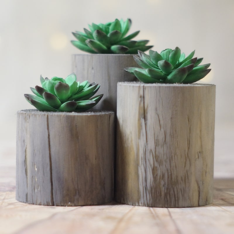 Succulent Log Planter - Etsy