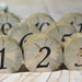 Log Slice Table Numbers for Rustic Wedding Wooden Reception - Etsy
