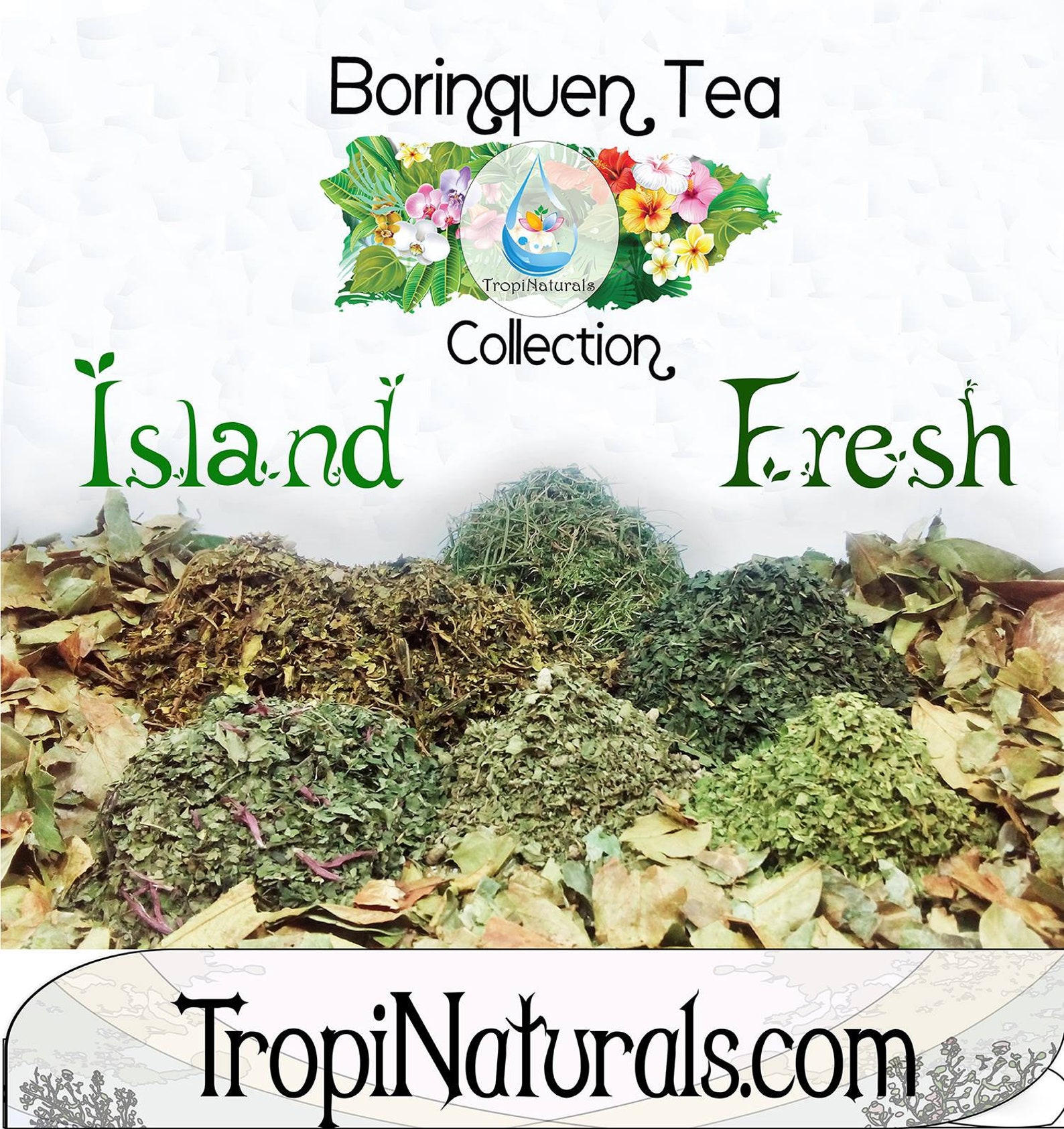 Tua Tua jatropha Gossypiifolia Tea Servings & Loose Herb - Etsy