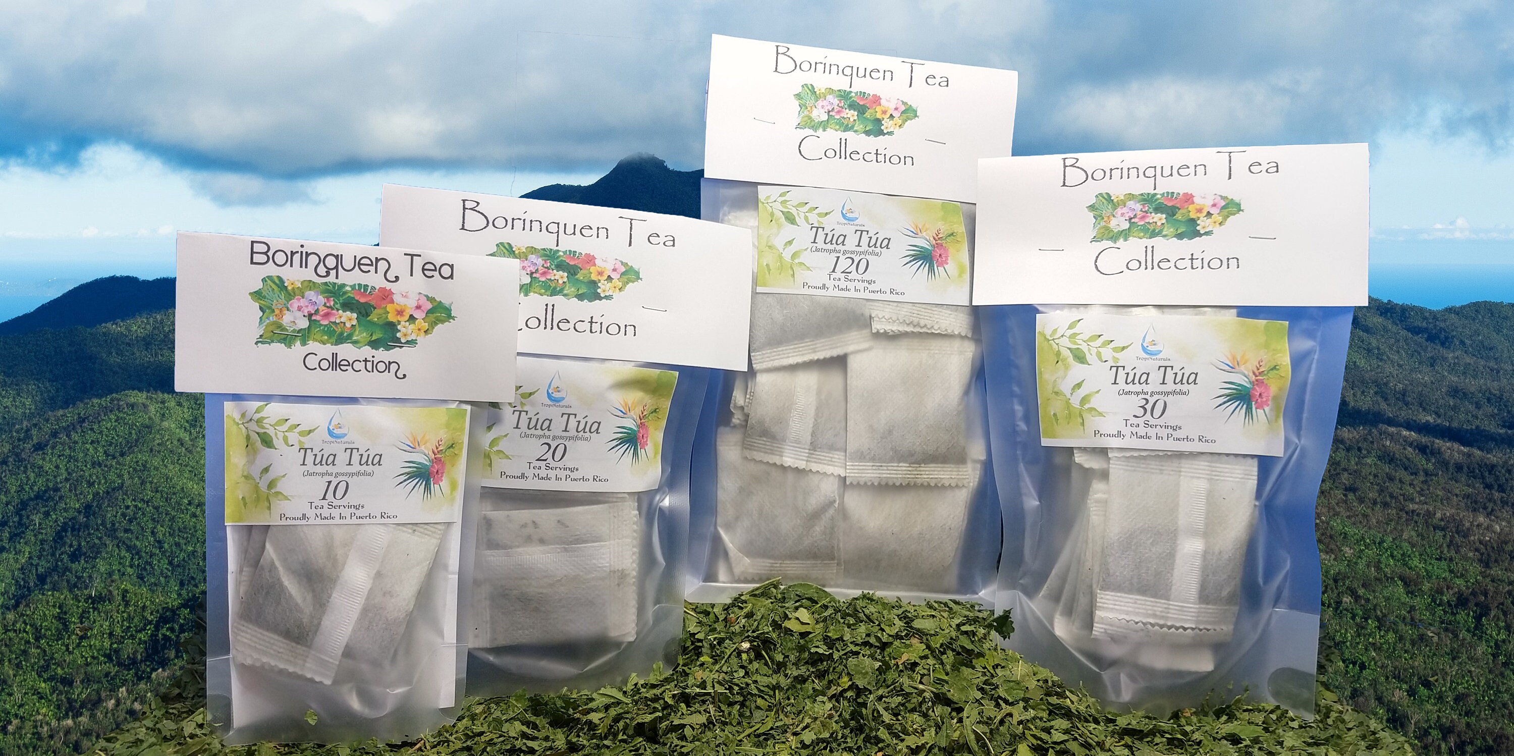 Tua Tua jatropha Gossypiifolia Tea Servings & Loose Herb - Etsy