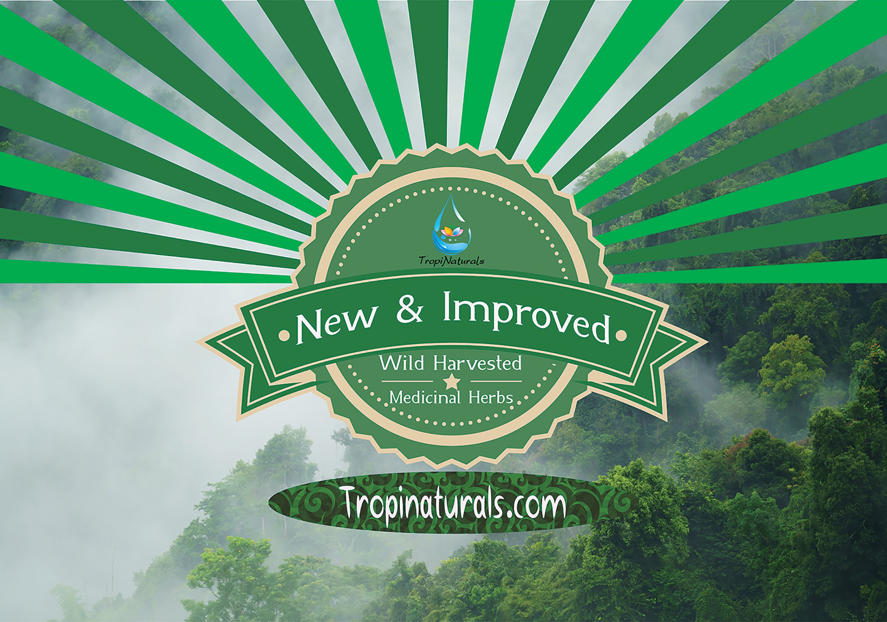 Tua Tua jatropha Gossypiifolia Tea Servings & Loose Herb - Etsy