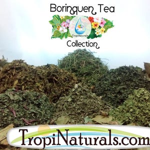 Hemoglobin Plant, Singamochila (justicia Secunda, Dianthera Secunda ...