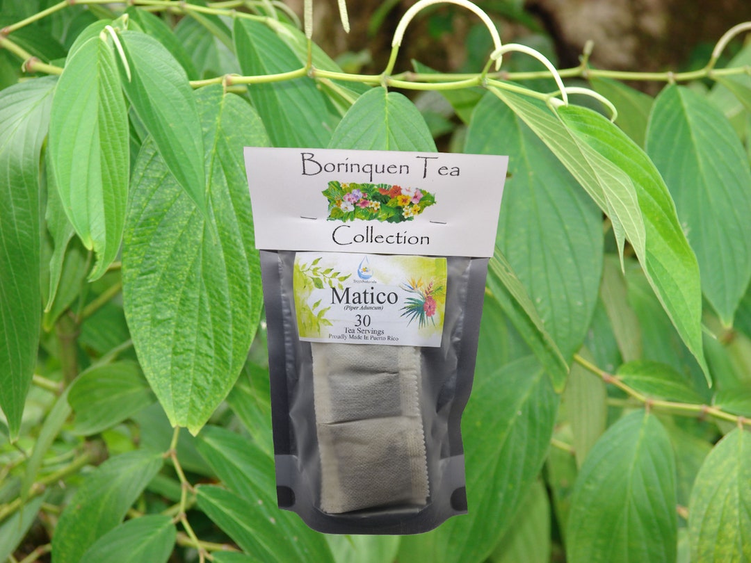 Matico (piper Aduncum) Tea Servings, Fine Grit Herb & Extract Sal - Etsy