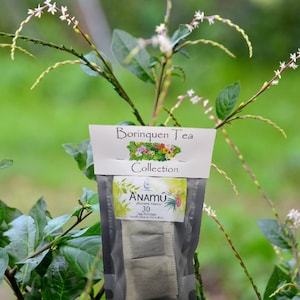 Anamú Leaves (petiveria Alliacea) Tea Servings, Fine Grit Herb ...