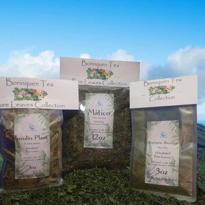 Tua Tua (jatropha Gossypiifolia) Tea Servings, Fine Grit Herb & Extract ...