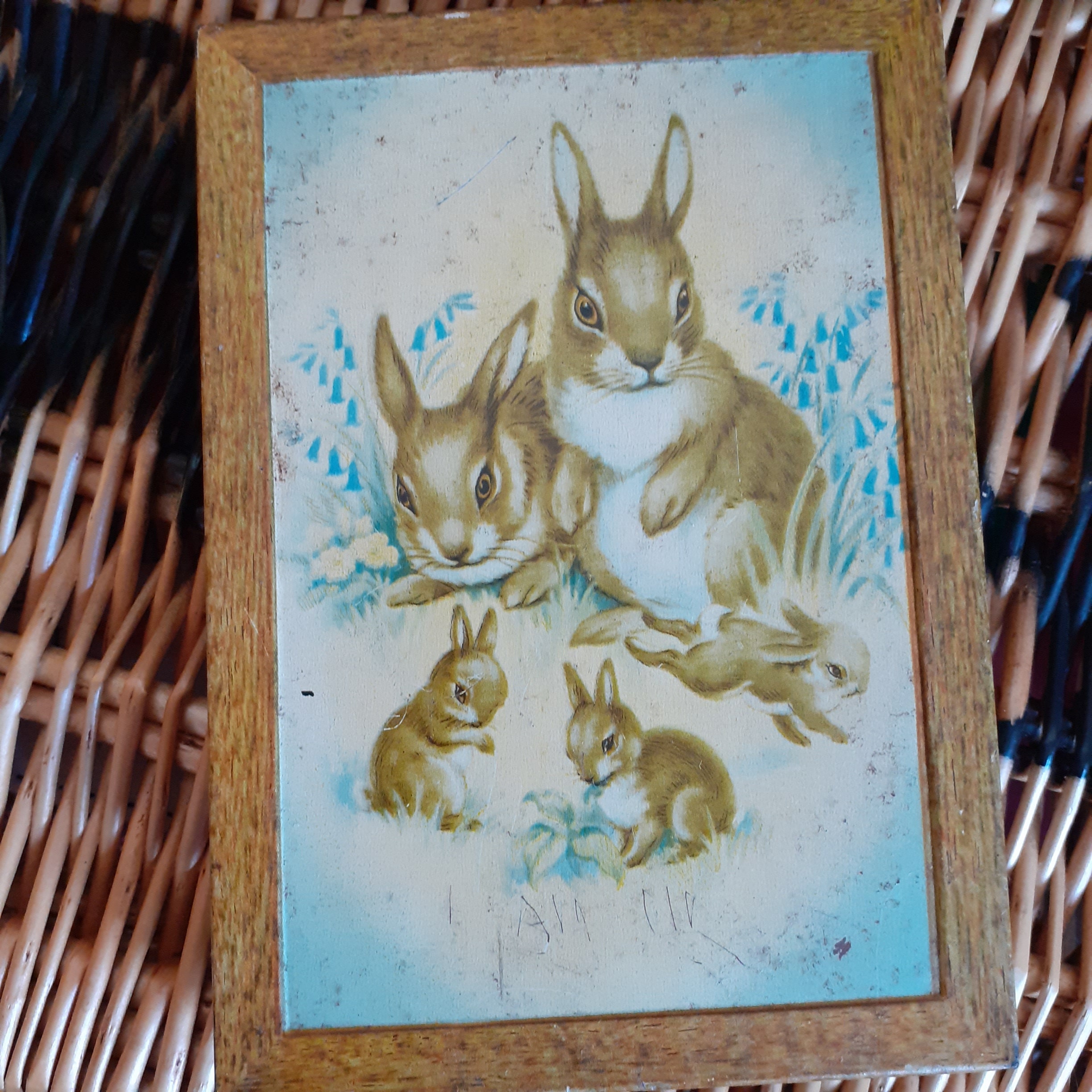 Rabbit Family Chad Valley Money Box Book Rare Vintage Tin | Etsy