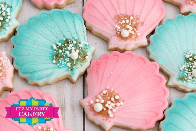 Sea Shell Cookies 1 Dozen - Etsy