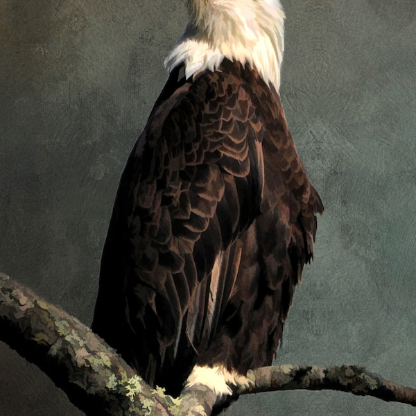 Eagle Fabric Panels - Etsy