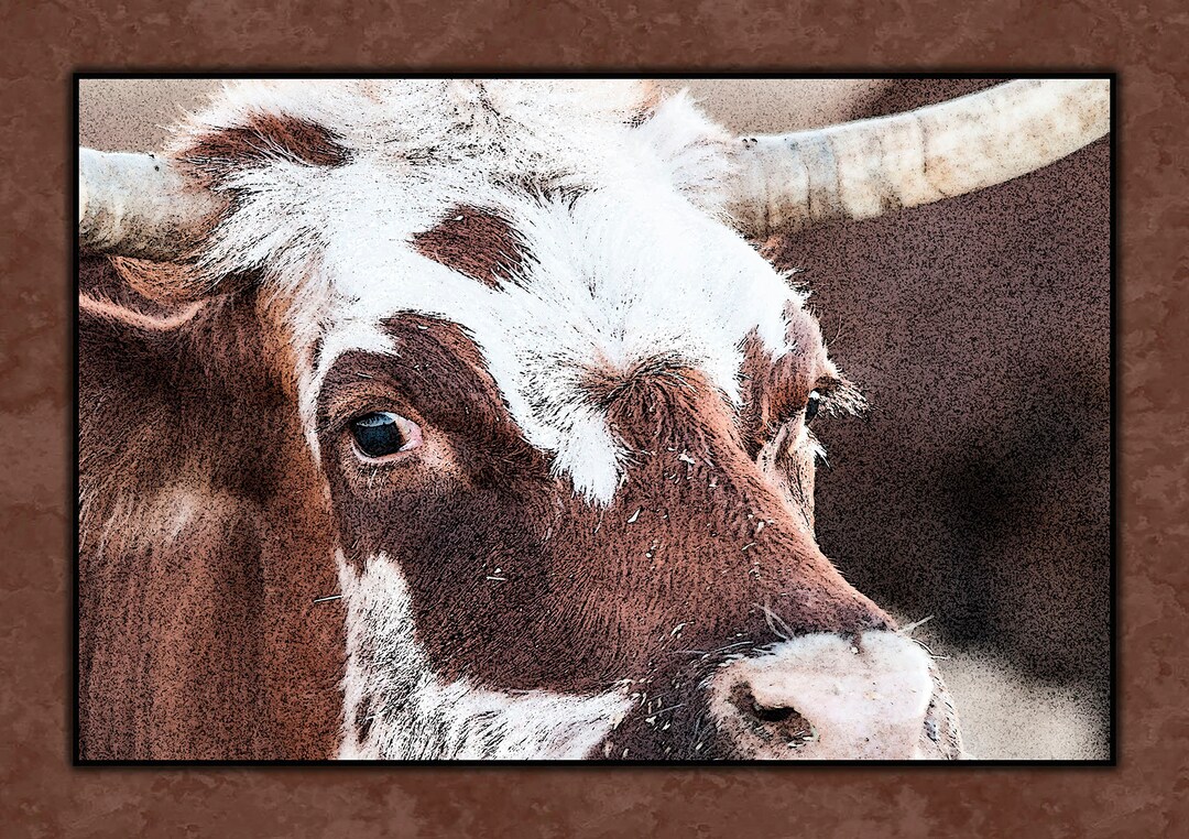 LONGHORN CLOSEUP Quilt Panel of Actual Photography Taken and Digitally ...